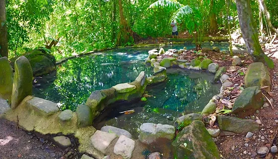 JUNGLE HOT SPRINGS - Vista Ocean Suites